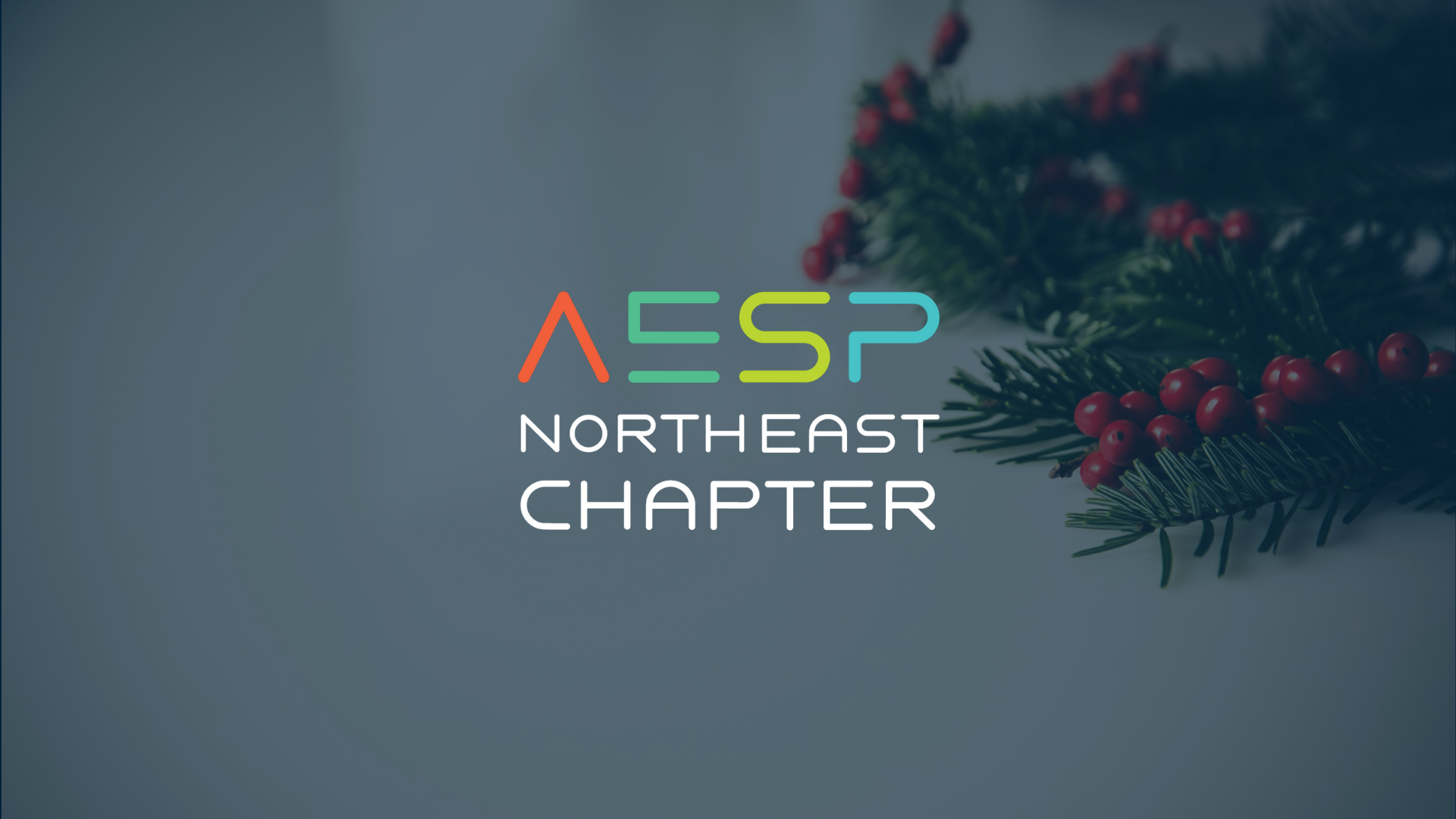 Northeast Chapter Holiday Happy Hour/Networking Event | AESP Northeast Chapter Holiday Happy Hour/Networking Event | AESP